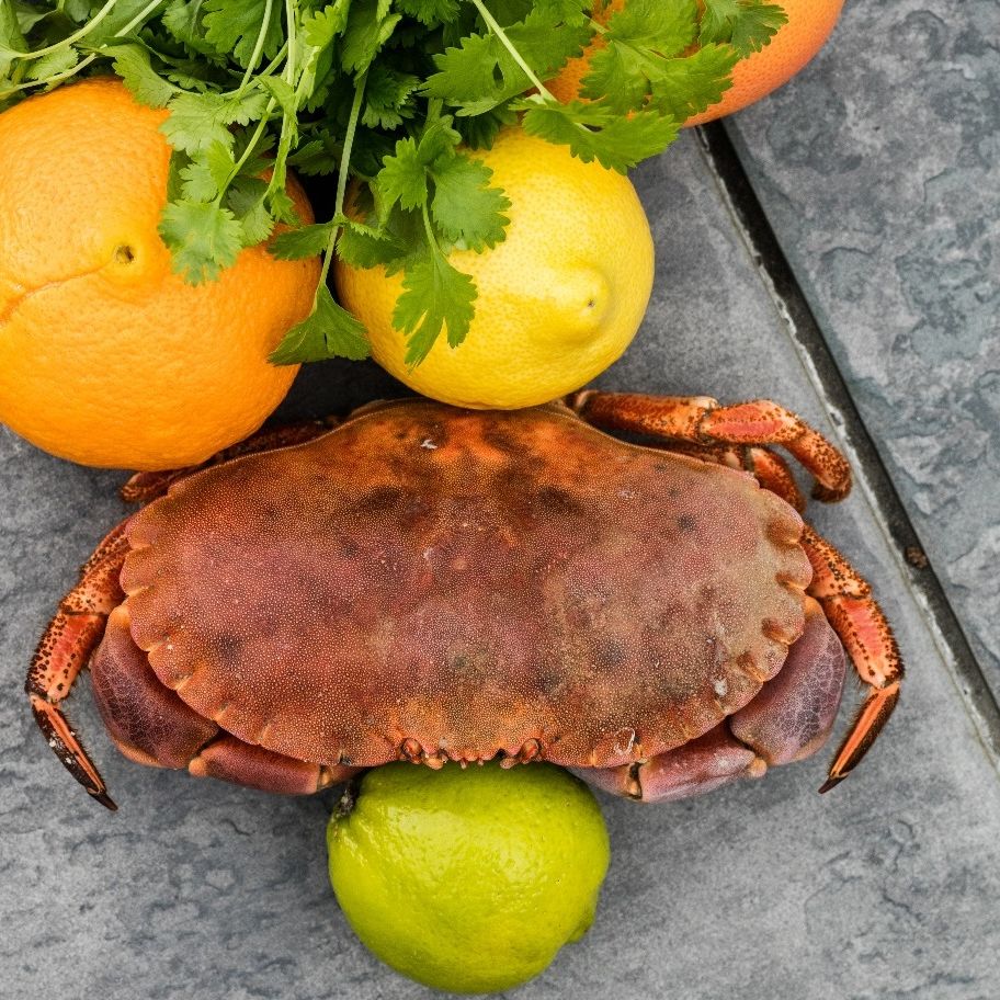 Nå er krabbene på sitt beste | Aktuelt | Lerøy Sjømatgruppen